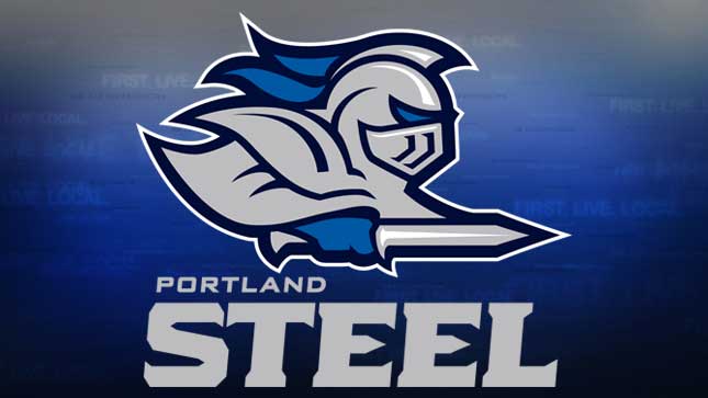 Inside the Arena: Who Will Win Their First Game First? Steel or Storm?