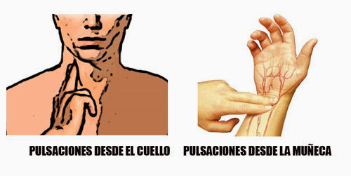 Educación Física no Vilaverde: Tres formas de medir o pulso!