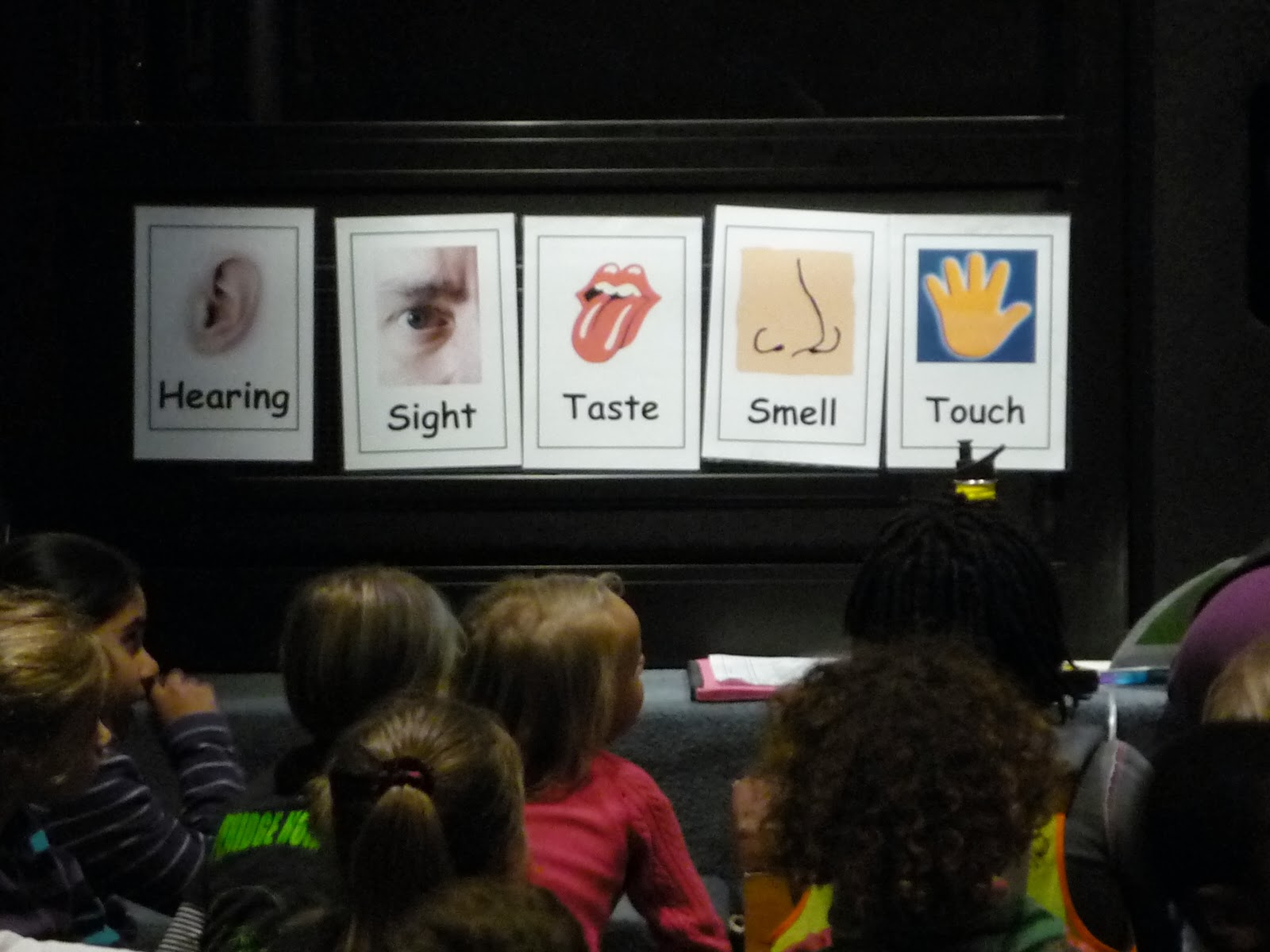 Welcome to Team Pukeko: Life Education Bus