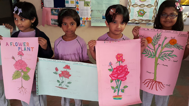 ITHS Bogra | KG-1 Science Project ( Parts of Flowering Plants )...