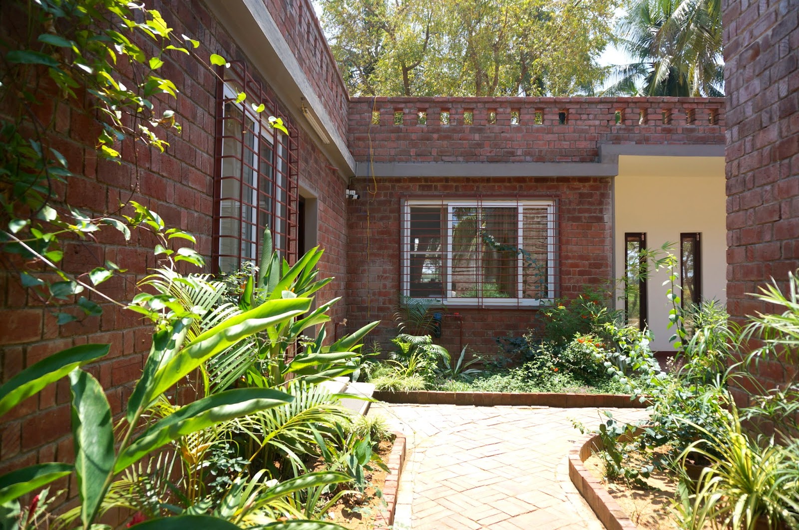 2 Weeks in India | 72 hours in Alwarkurichi & Video Diary