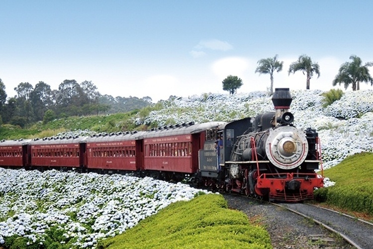 OLHANDO DA JANELA DO TREM: RIO GRANDE DO SUL / BRASIL (21 / 27)