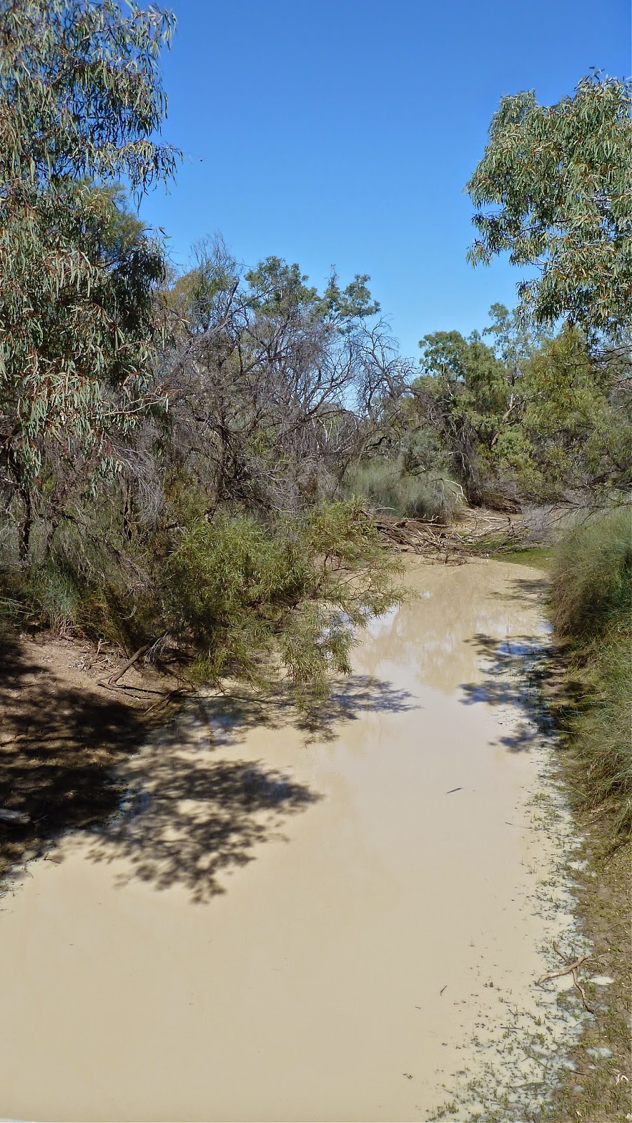 Hey Jude in Brisbane: Outback 2: back o' Bourke