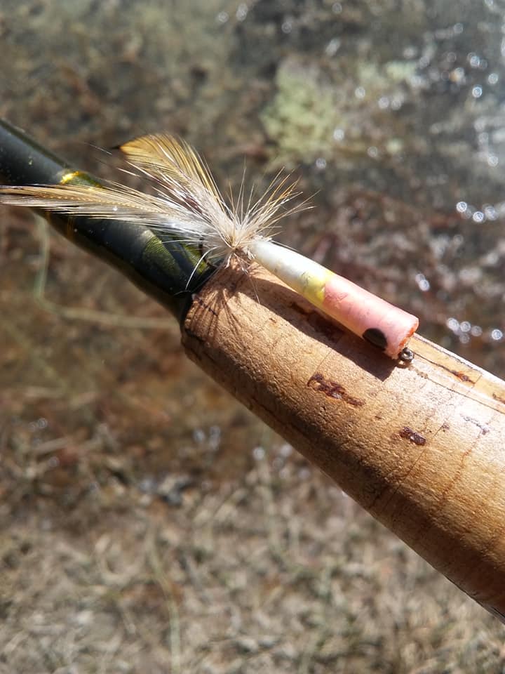 Palmetto Fly N' Fish: March 2019