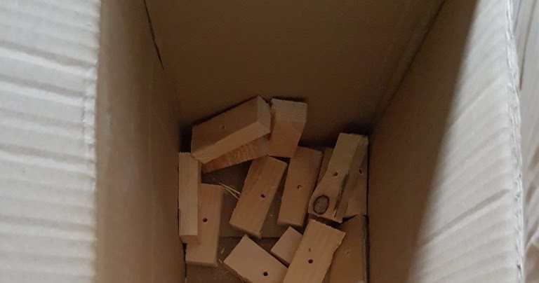 Wir bauen mit Massa Haus: Reh-Gips?!