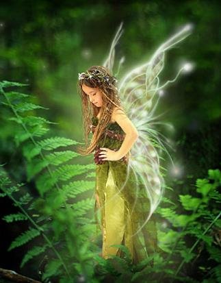 Seja Bem Vindo!: FADA ALFAZEMA - A MAGIA TEM CHEIRO! SABEDORIA DA NATUREZA