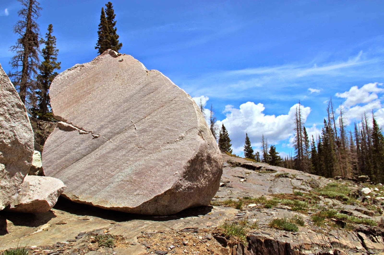 In the Company of Plants and Rocks: Shear Beauty along the Highway