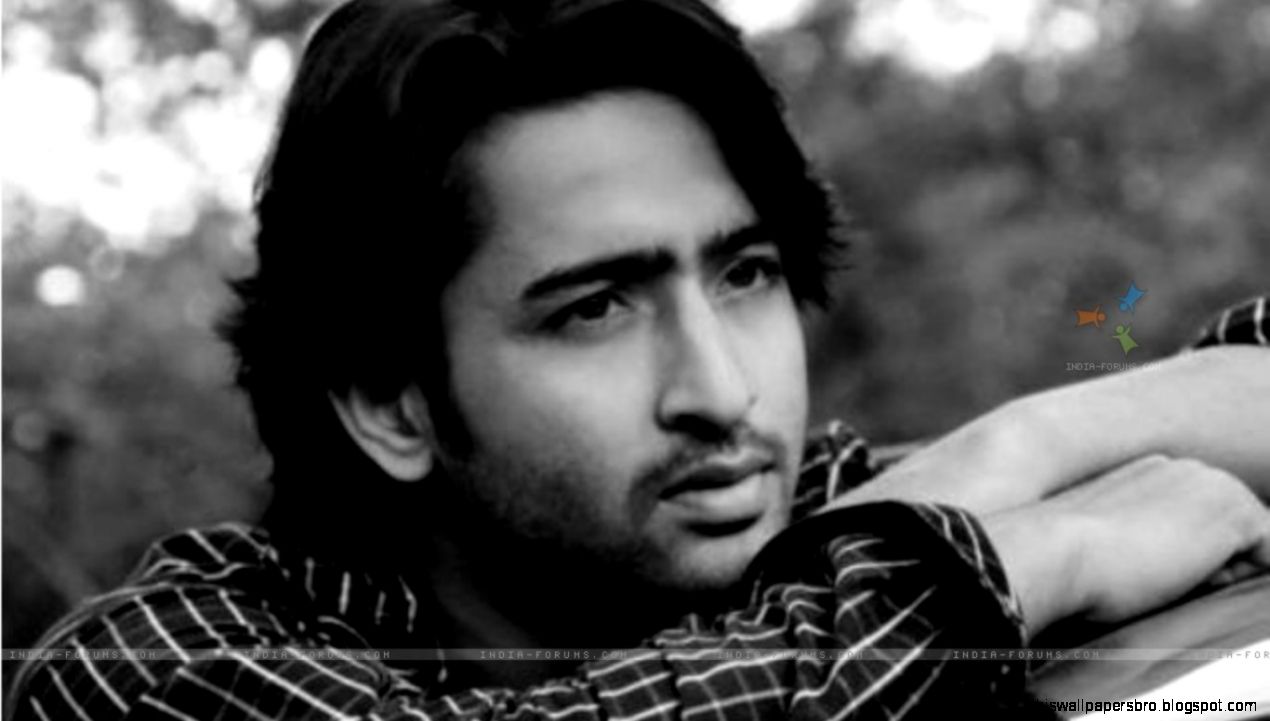 Shaheer Sheikh Top Wallpaper | This Wallpapers