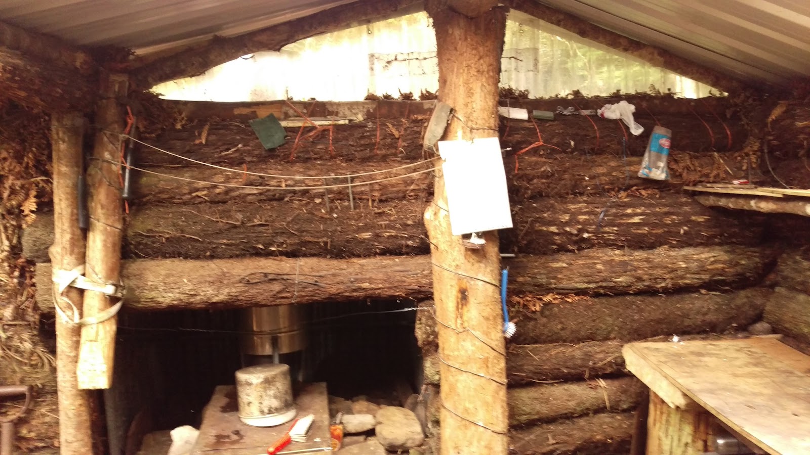 Tramping: Punga Hut or Miro Valley Hut
