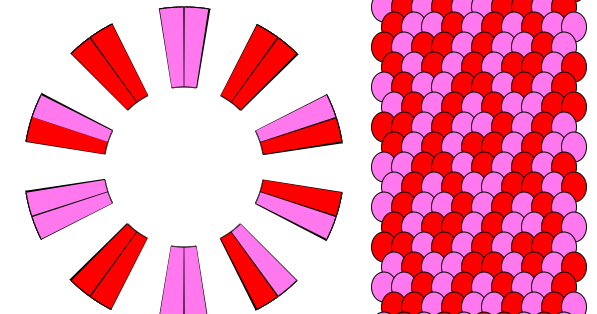 KUMIHIMO - Japanese Braiding_20 Strands Project