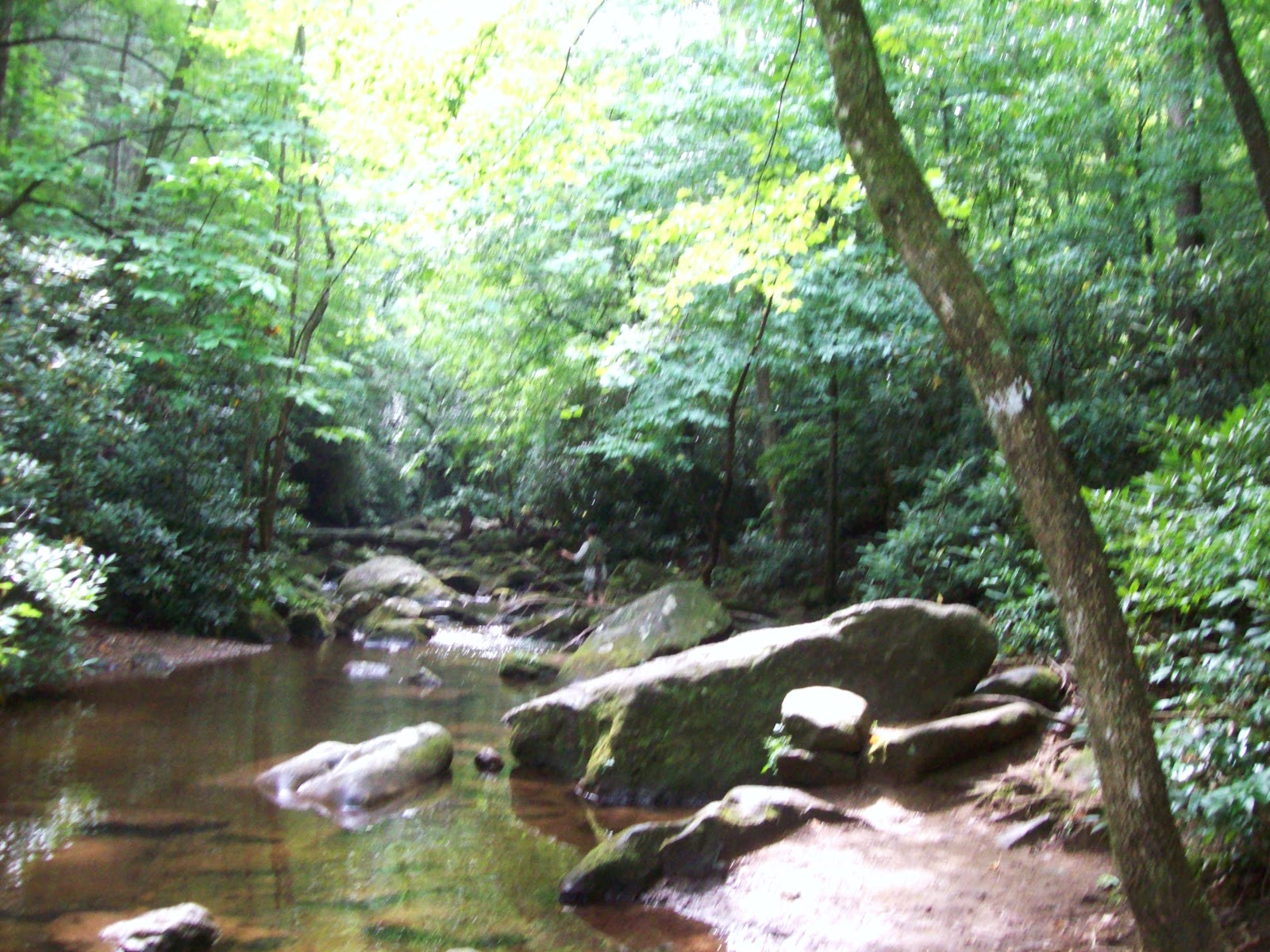 NC BACKCOUNTRY: SOUTH MOUNTAIN STATE PARK
