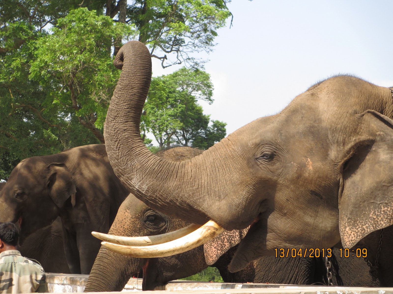 Vector Gaming: Short stay at Coorg