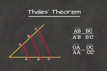 Thales Of Miletus : The Father Of Physics | History Of Physics