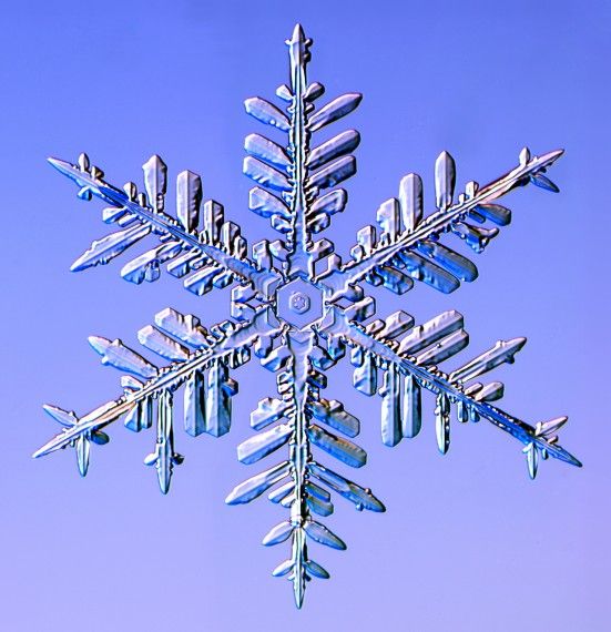 Heraldry of Life: ART with REAL SNOWFLAKES