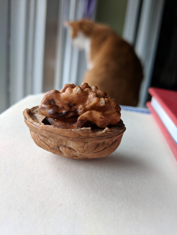 Nessy Designs: Walnut Linocut Print