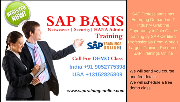 SAP BASIS Online Training: SAP BASIS Training Opportunities | Roles and ...