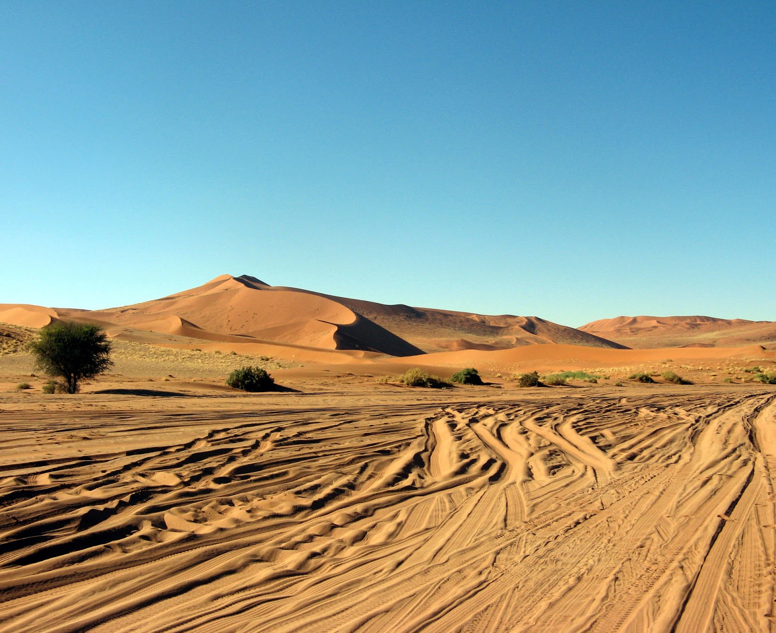 Peirce’s Triadic Model – Interpreting Signs