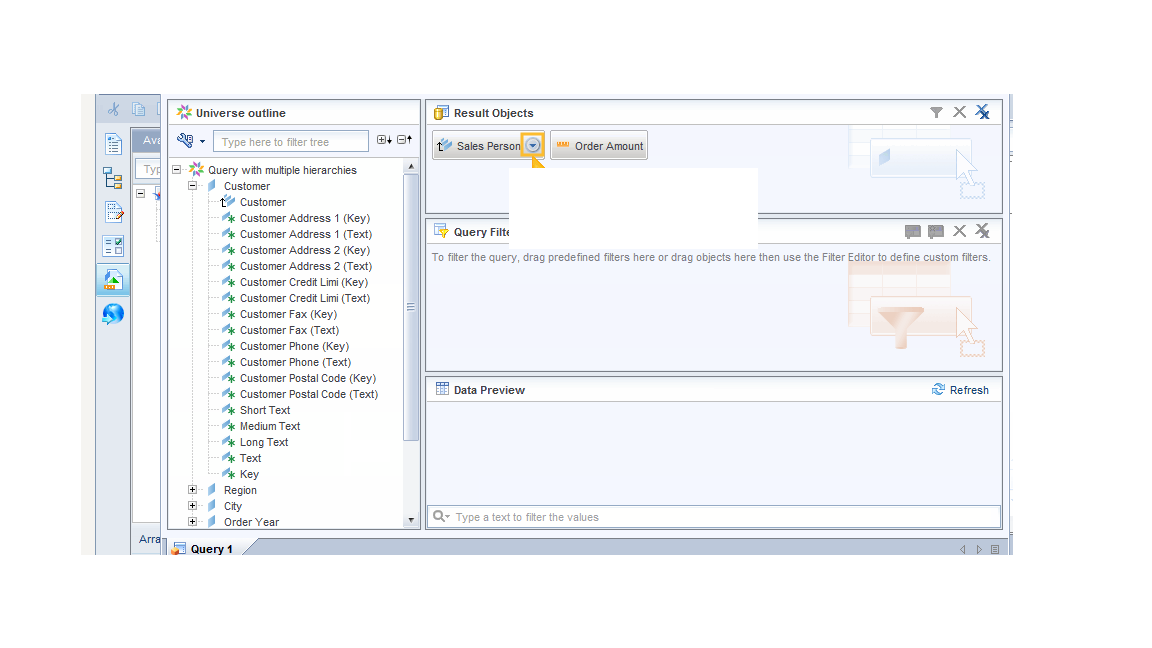 Business Intelligence With Sap Business Objects Sap Bi 4 Webi Connecting To A Bex Query With