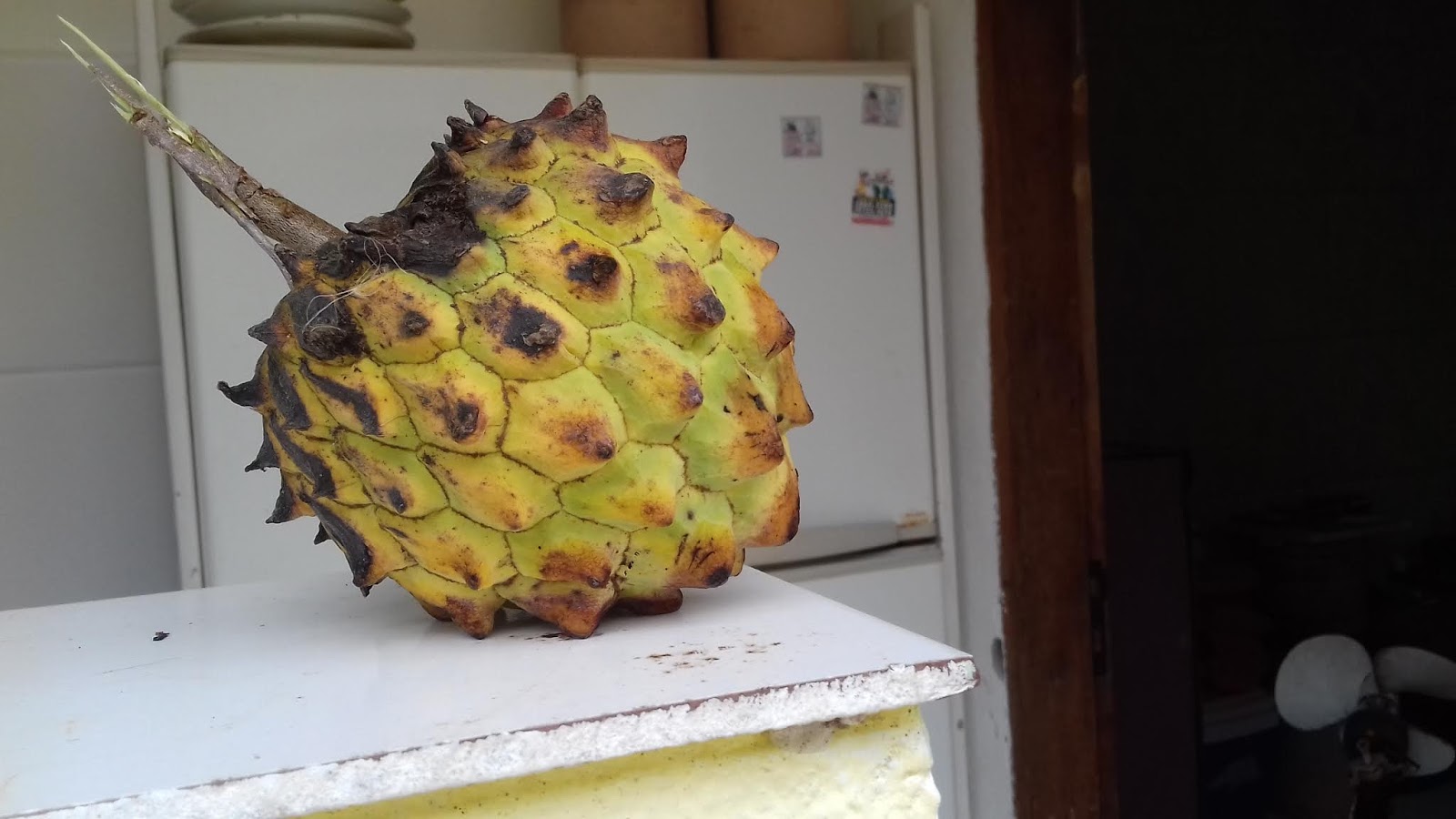 A saúde pela boca: Atemoia que Fruta é essa?