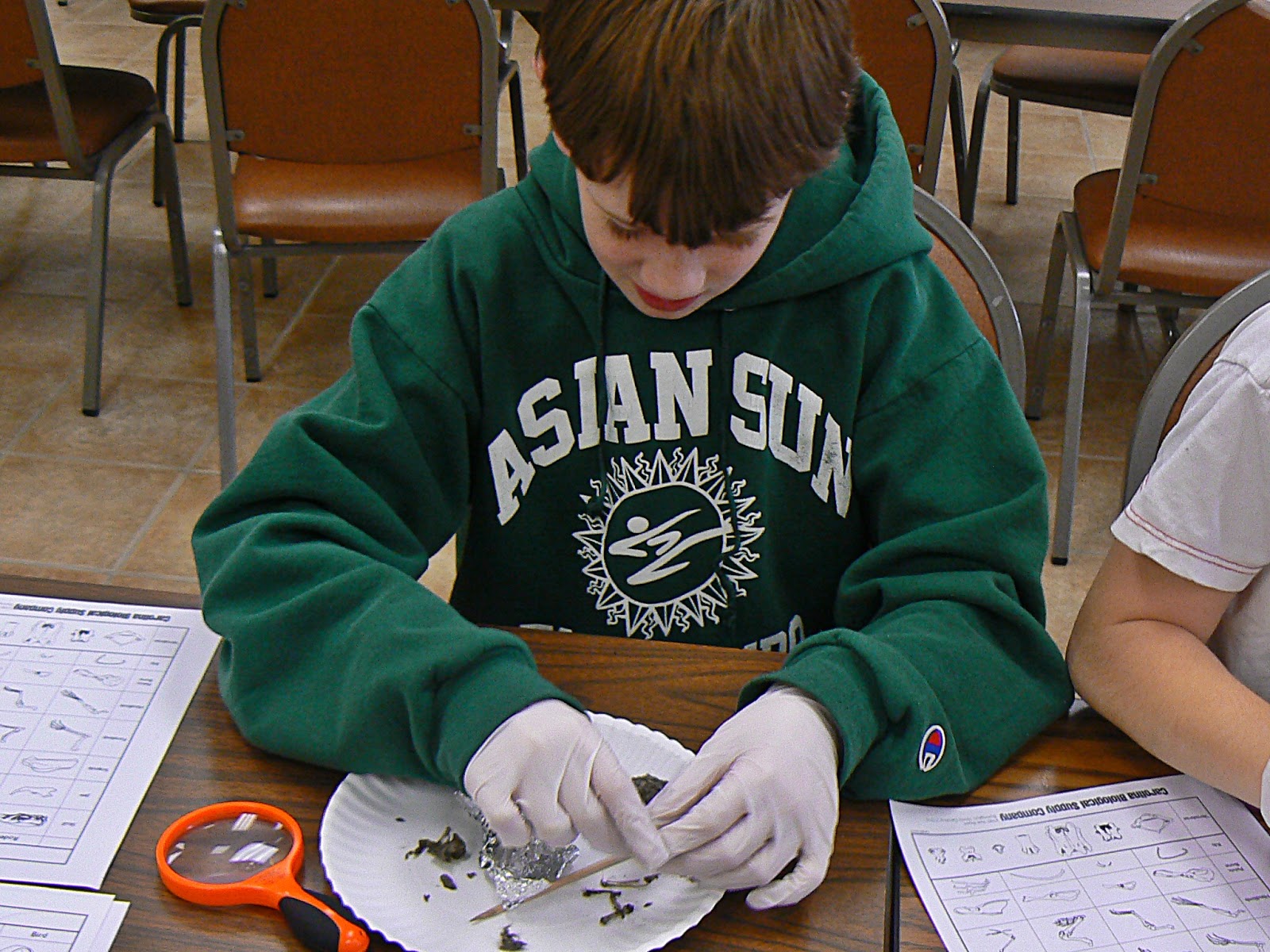 101 Days of Homeschooling: Day 45 / 102 - Owl Pellet Dissection