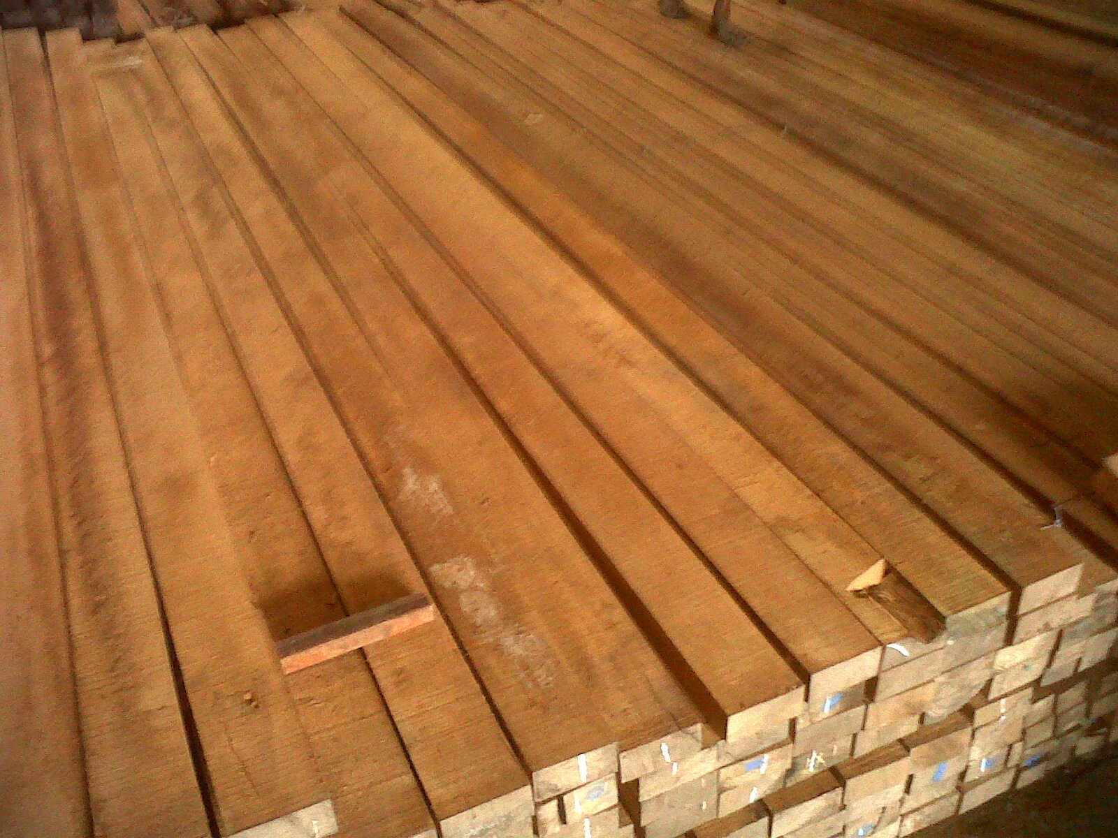 menjual berbagai macam ukuran dan jenis kayu dengan harga grosir