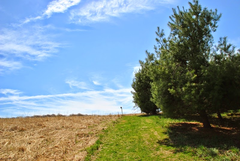 Southeastern PA Hiking: Binky Lee Preserve
