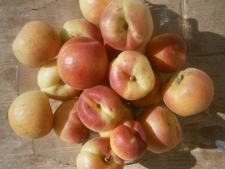 zerezas-otrasformasdecocinar: Propiedades del Albaricoque