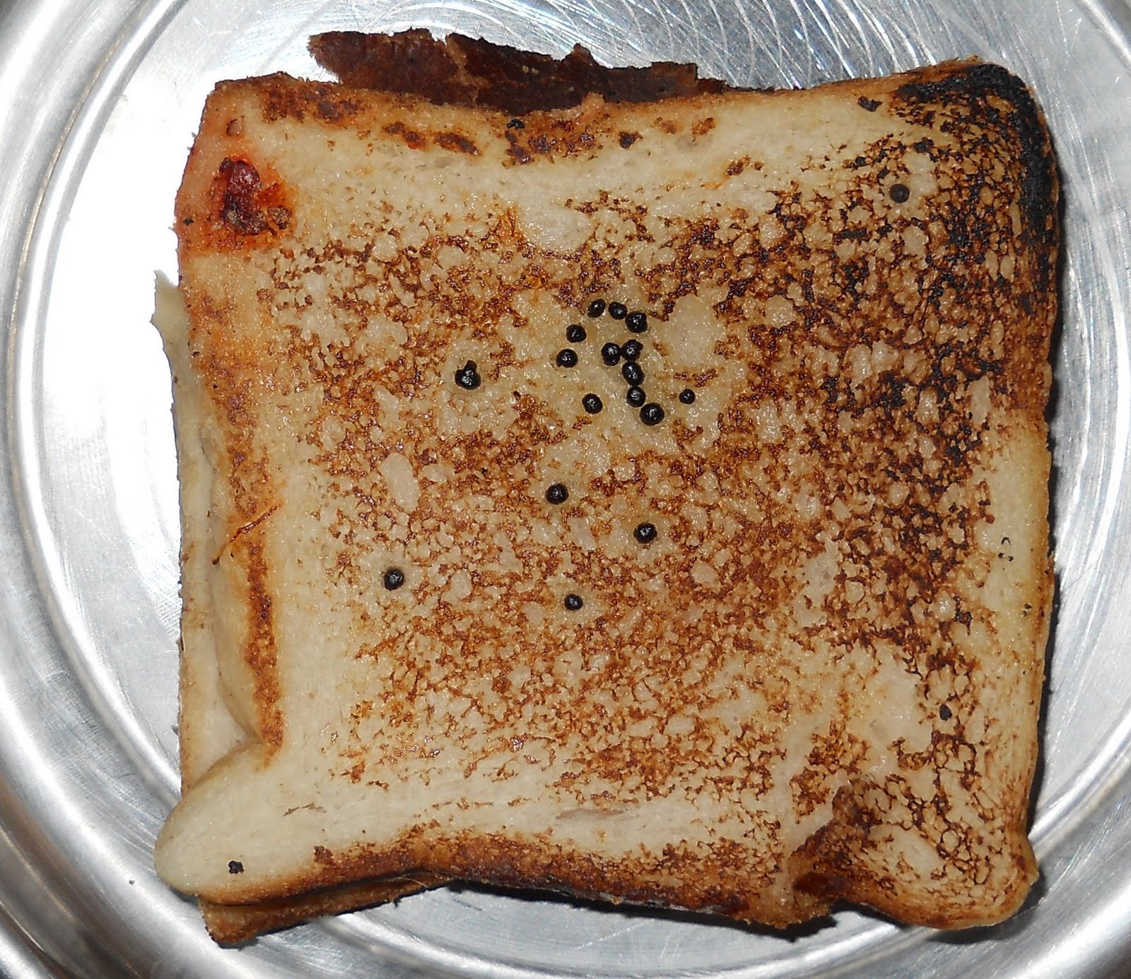 Bhashnas Andhra kitchen: Dahi Mustard Sandwich