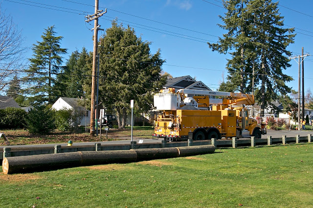Shoreline Area News: Photos: Seattle City Light utility pole ...