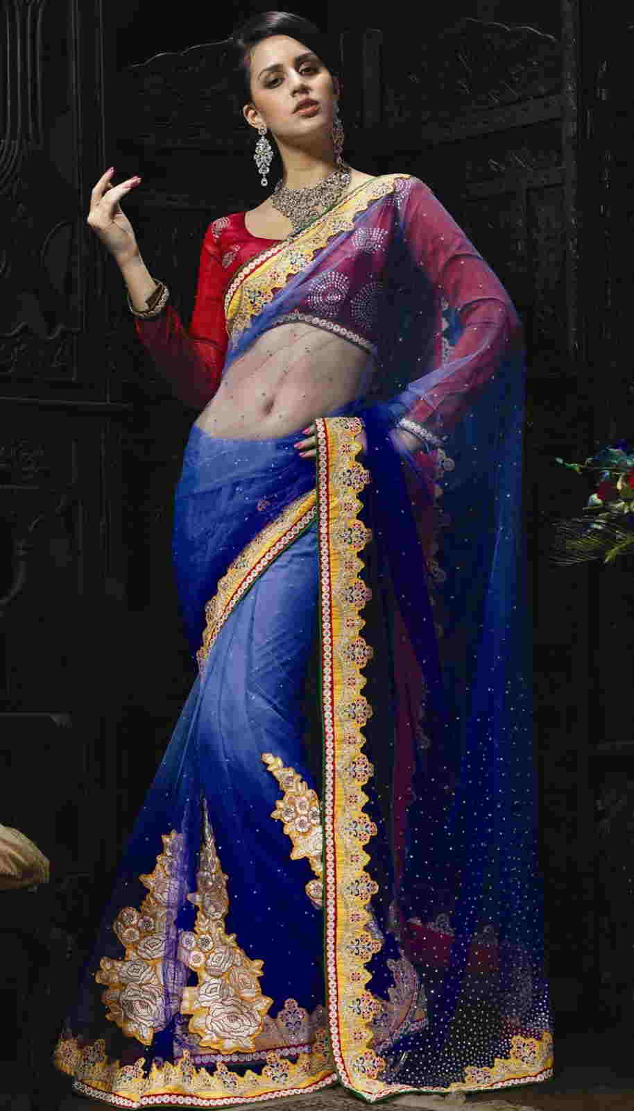 Famous Indian Sari Best Designs And Nepal Sari, Sri Lankan Saree ...