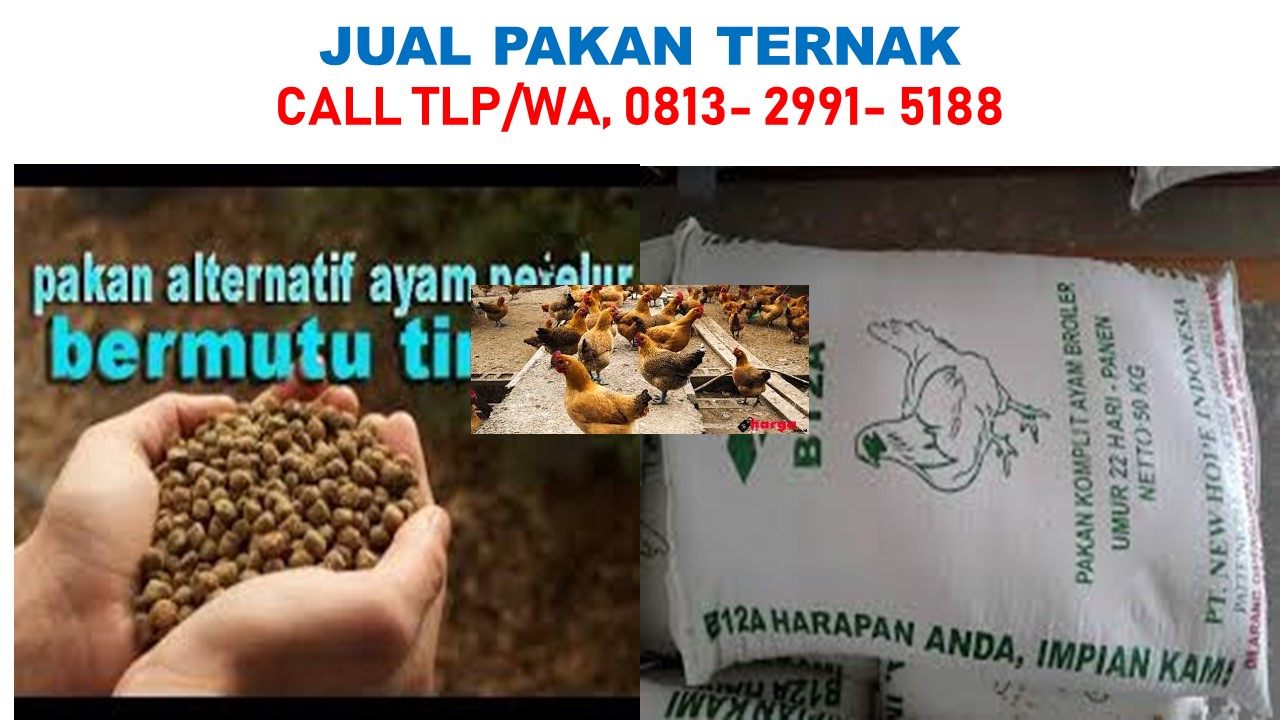 Harga Pakan Ayam Pedaging finisher-Tlp/sms/WA : 0813-2991-5188