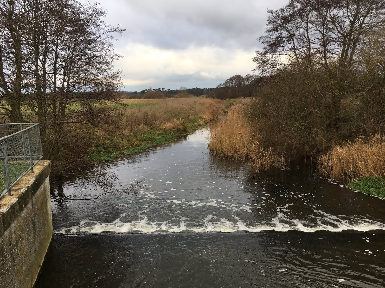 Cavenham Heath and the River Lark