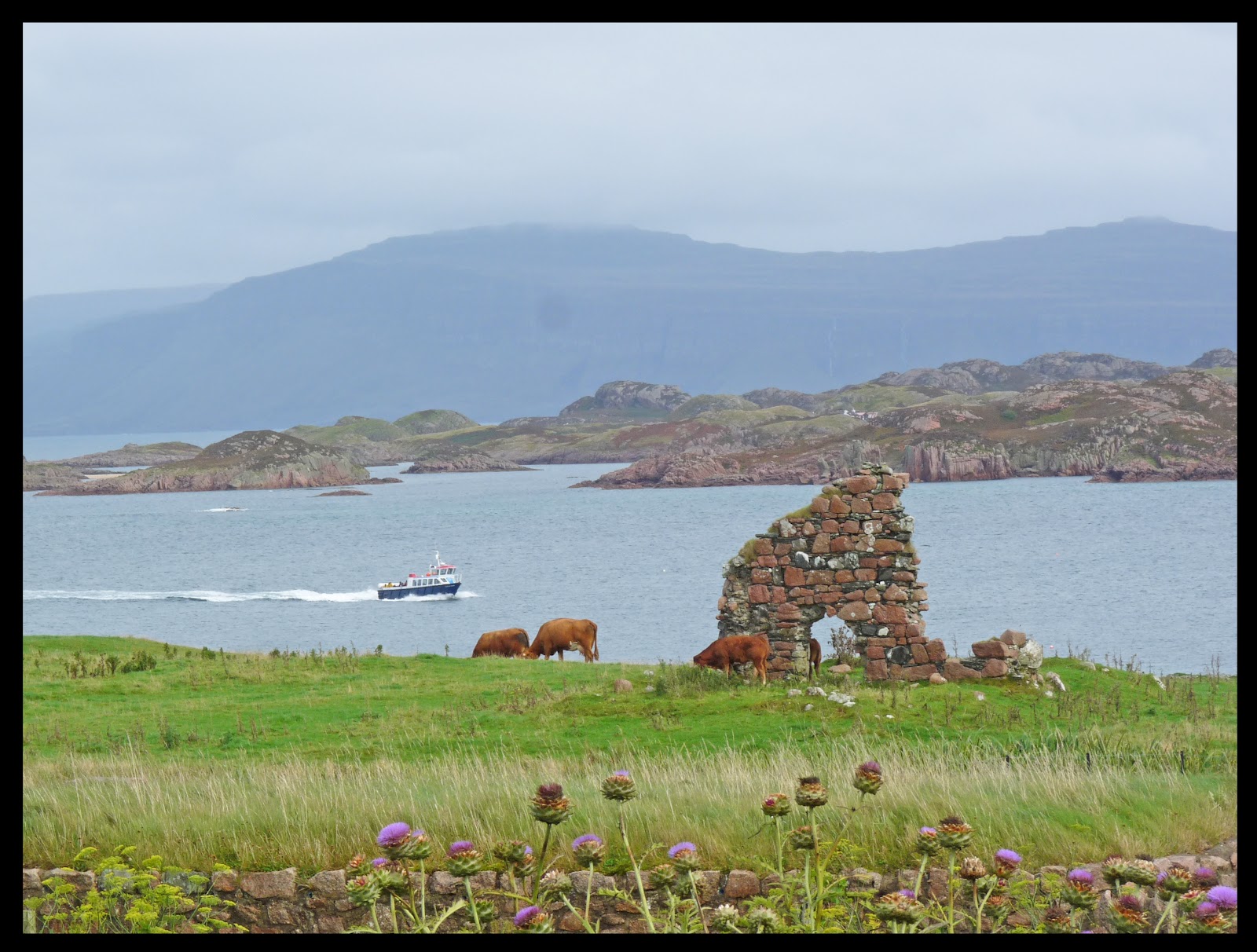 Wild and Wonderful: Islands and Islets (8): An Inner Hebridean Odyssey ...