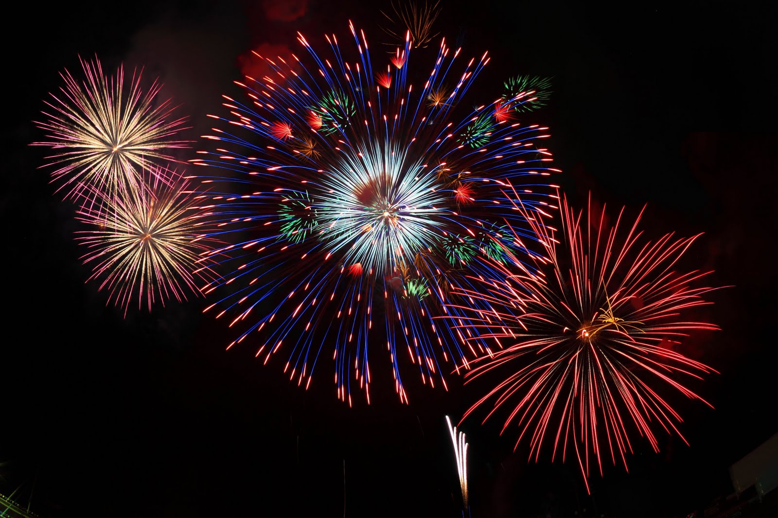 Various Field Angles: Sunflower & Fireworks