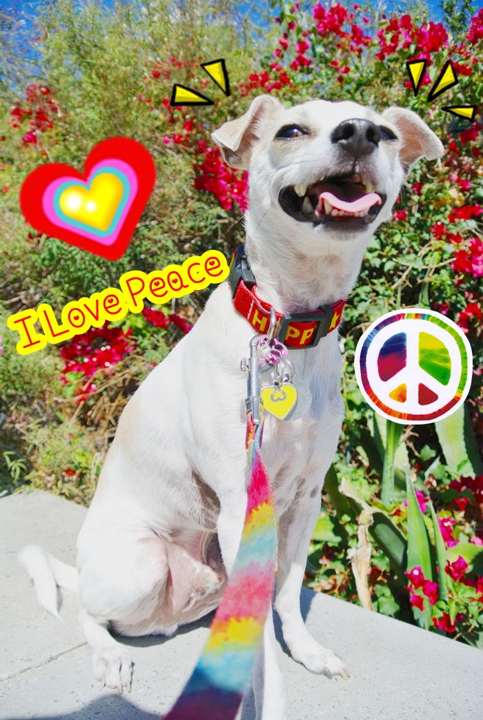 HAPPYHAZEL: Wishing for a Peaceful Week Ahead for this World! :D # ...