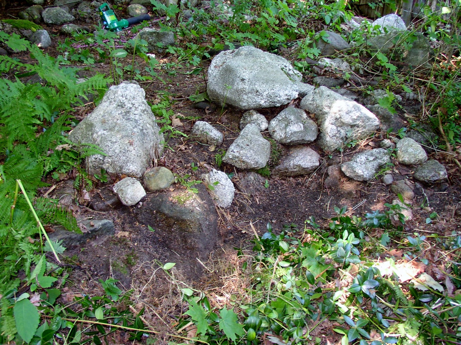 Waking Up on Turtle Island: Recognizing Possible Testudinate Indigenous ...