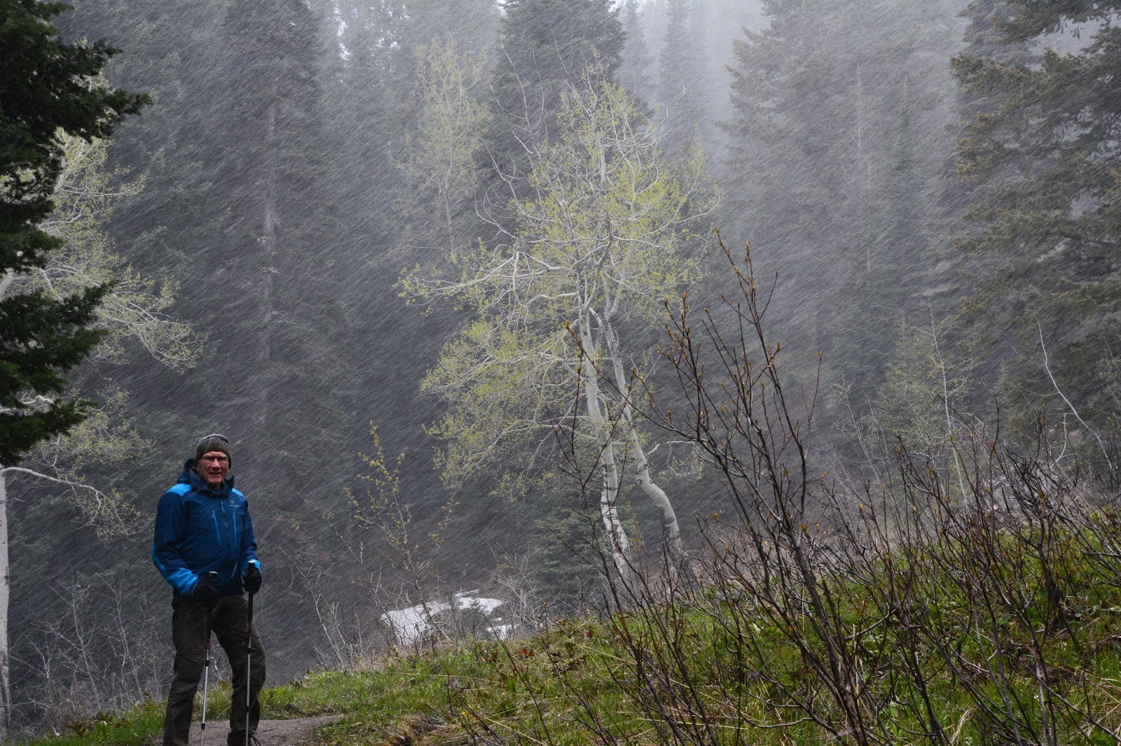 venturing4th: The real String Lake Loop Trail or, hiking in the snow