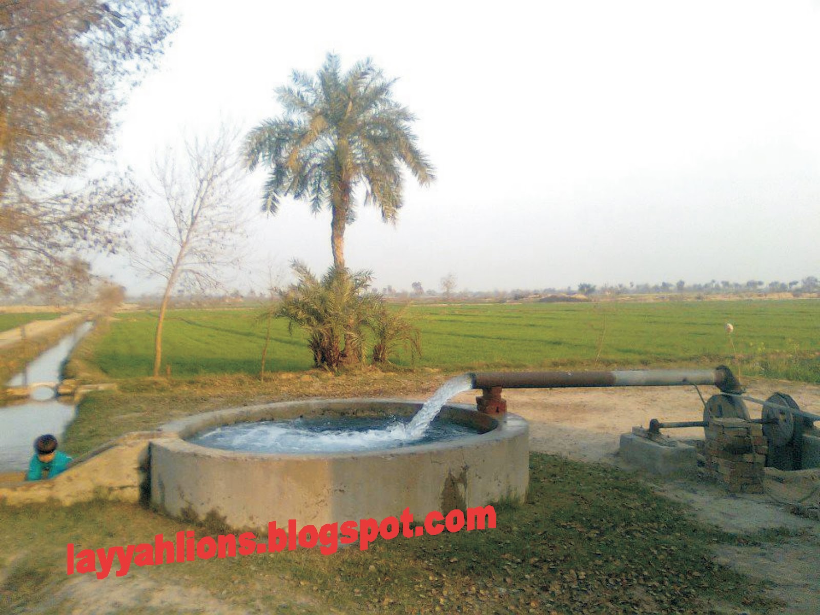 Layyah - JungleKey.in Image