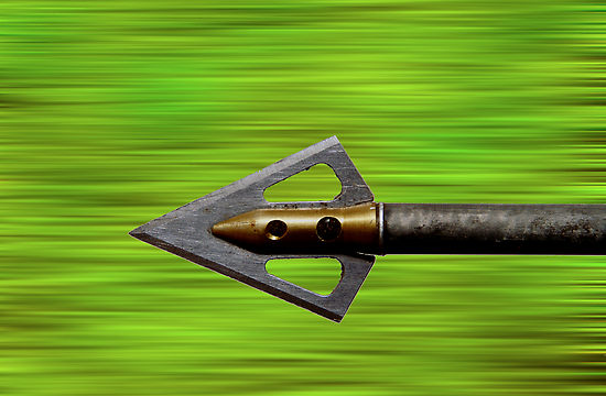 Projeto Unidade: Como Flechas na mão do Guerreiro