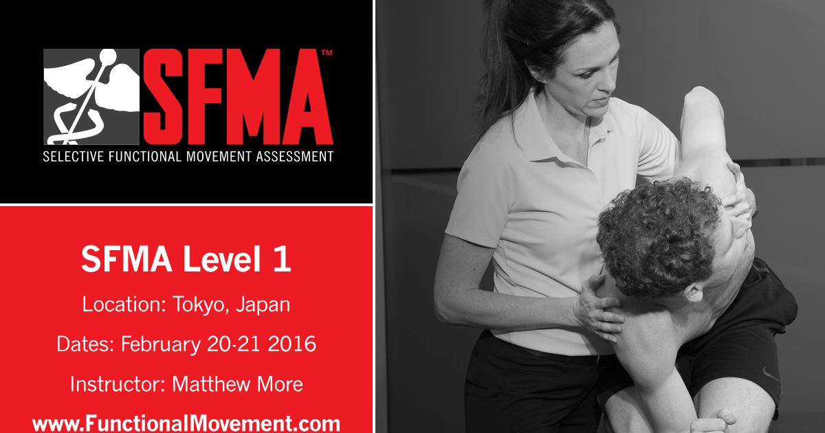 蓮田市と上尾市のひかり整骨院採用ブログ: SFMA-Selective Functional Movement Assessment-