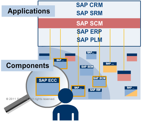 SapSystemsOfReza: TAW10 - THE BIG PICTURE