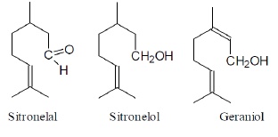 JUITA SARSI SIAHAAN: Isolasi Minyak Sereh