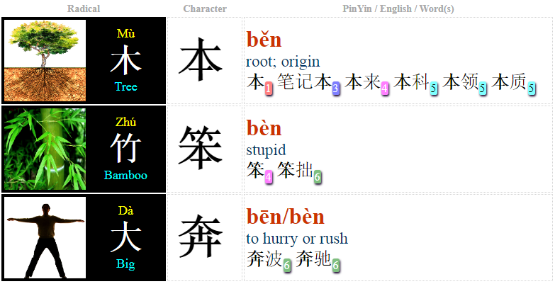 每日中文 Daily Zhongwen: Chinese Syllable - 'ben' (3 Characters + Words)