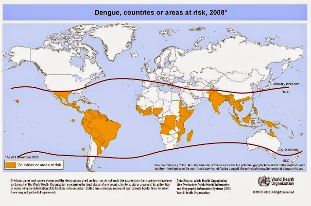 BLOG: Microbiología para Técnicos/as: Dengue. Vuela hacia todas partes.