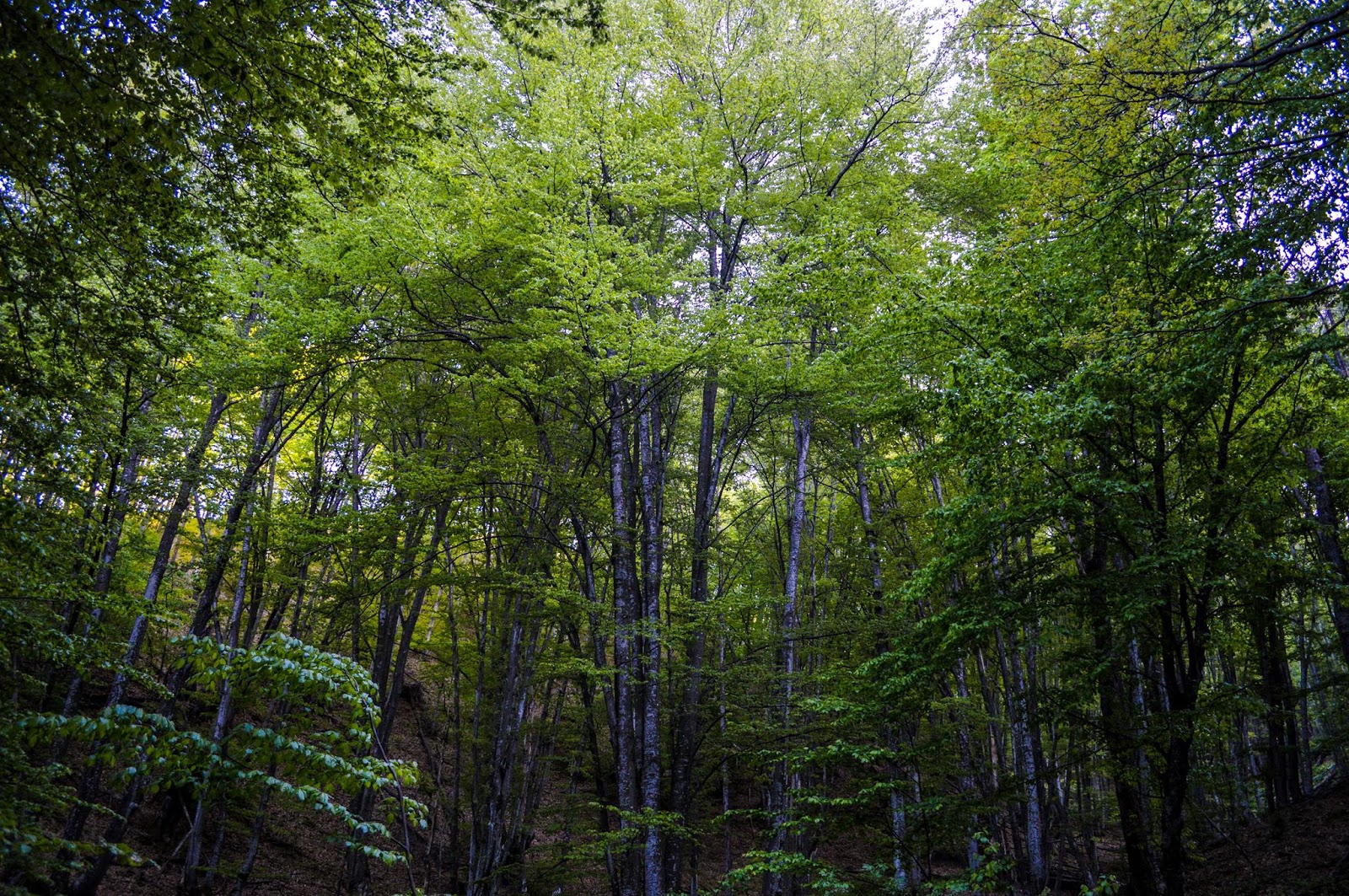 Das kleine wunderschöne Dorf Bogomila