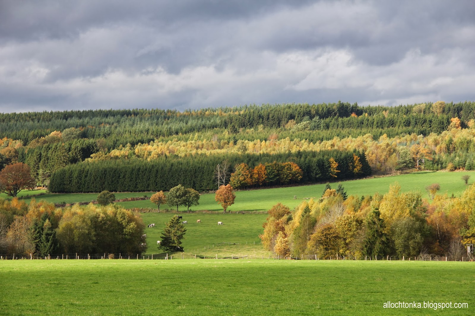 Allochtonka - życie ekspatki w Holandii: Złota jesień w Ardenach