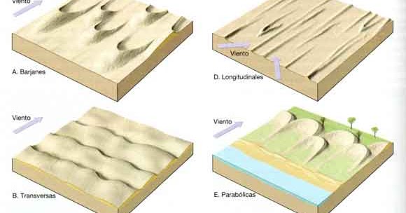 Dunas, arenas nómadas: Tipos de dunas