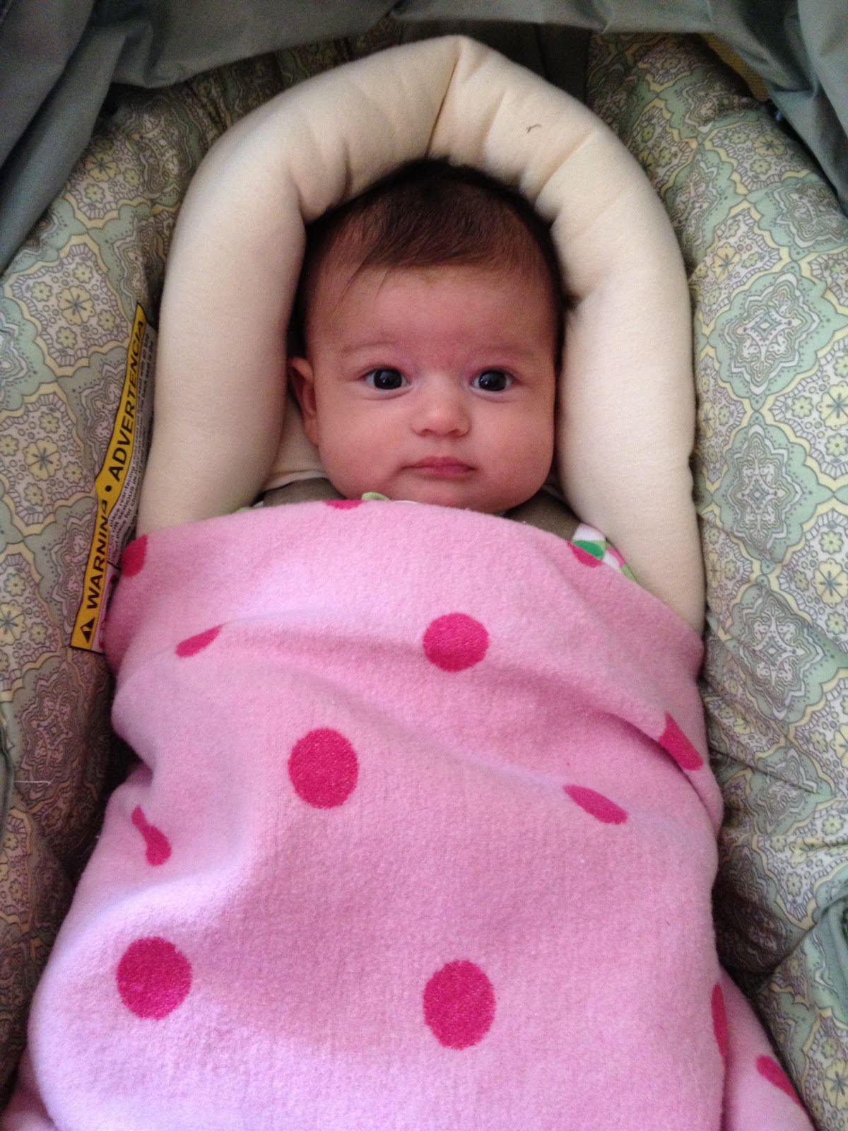 The Adventures of Baby Newman: Transitioning into Fall....