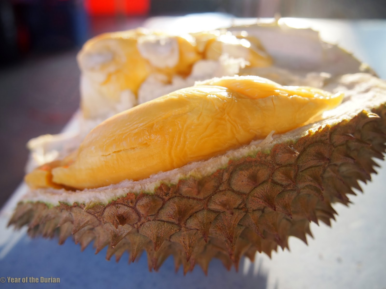 How to Identify Red Prawn Durians