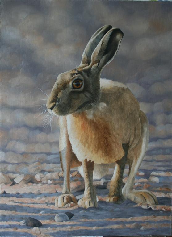 Clive Meredith Wildlife Art: Hare painting progress